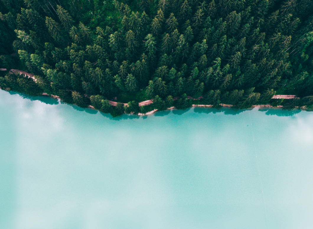 Sustainability Spotlight | Spotlight Foods